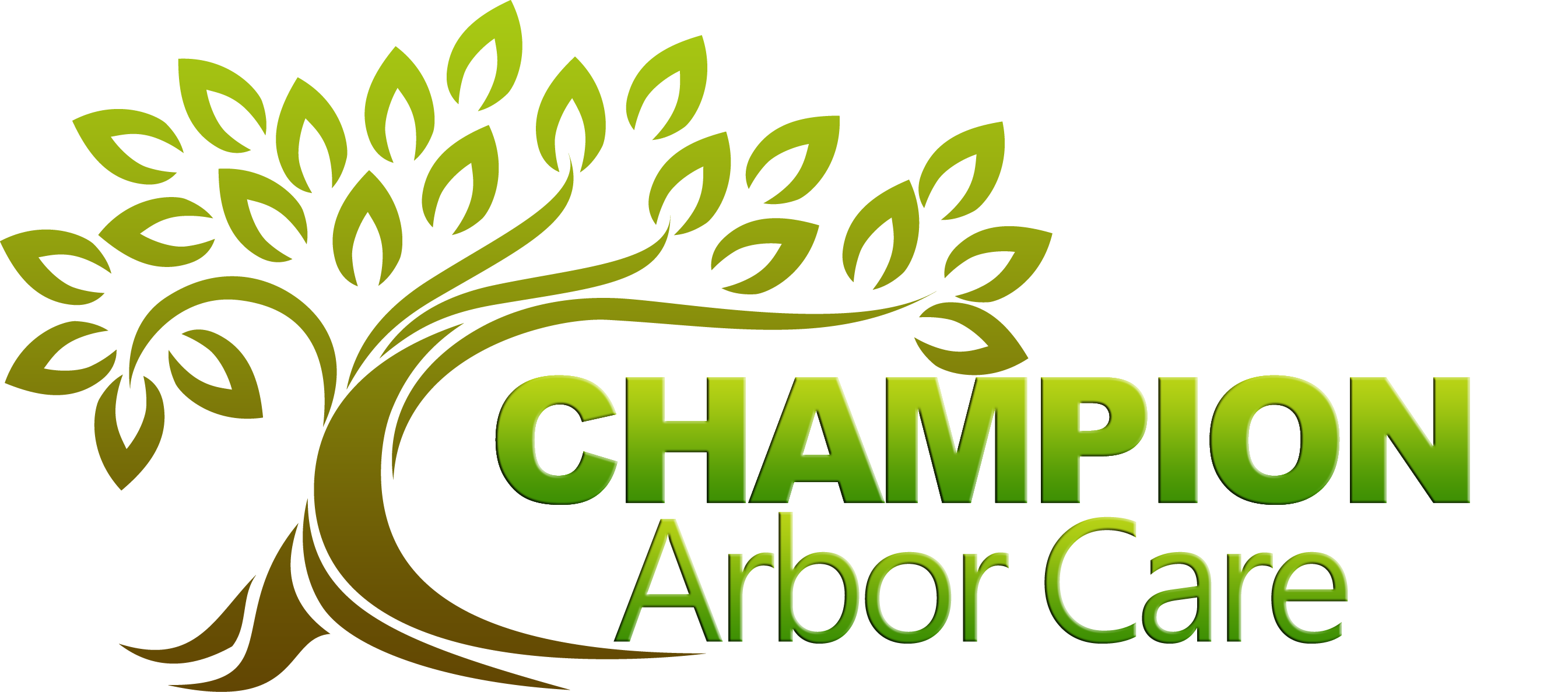Tree Service Irving | Tree Trimming | Tree Removal - Champion Arbor Care